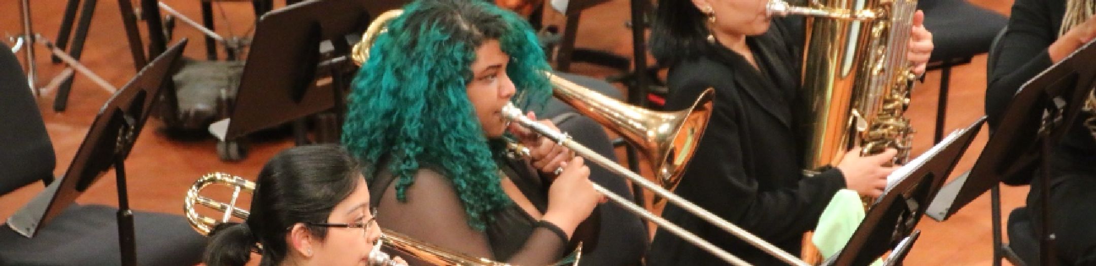 Members Area - International Trombone Association